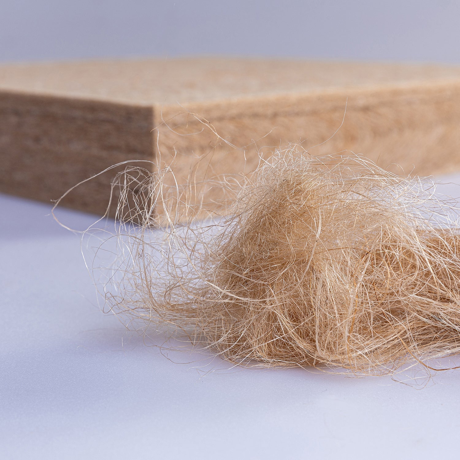 Jute Fiber Mattresses in Singapore | Natural & Supportive – LOFT HOME